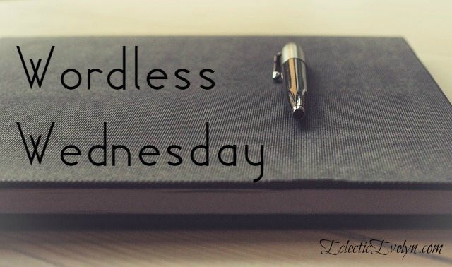 Reflection of Power #WordlessWednesday | Eclectic Evelyn