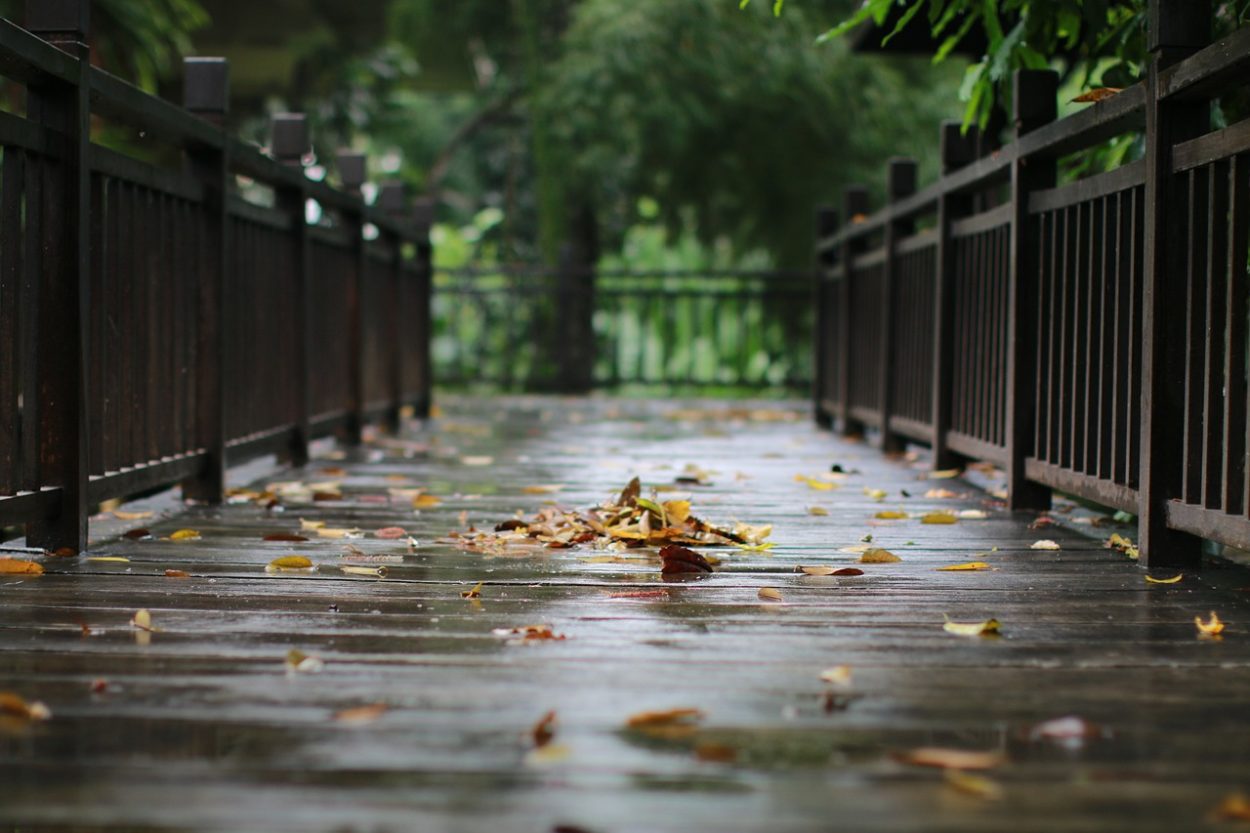 5 Free Ways To Enjoy A Rainy Autumn Day | Eclectic Evelyn