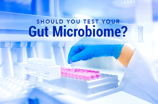 Should You Test Your Gut Microbiome? | Eclectic Evelyn