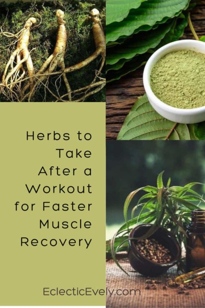 5 Amazing Herbs To Take After A Tough Workout For Faster Muscle ...