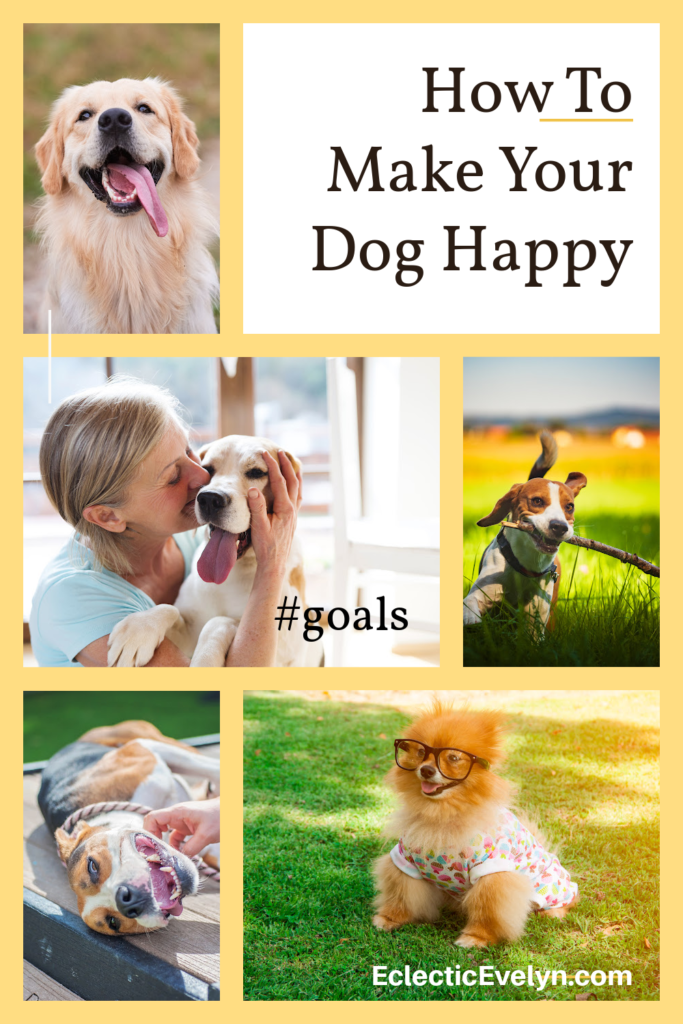 How To Make Your Dog Happy | Eclectic Evelyn